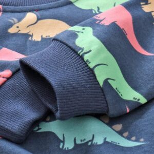 Julerwoo Girls Cotton Sweatshirts Dinosaur Printed Crewneck Tops (2T, Navy)