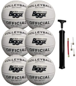 biggz (6 pack) volleyballs - soft touch leather - indoor/outdoor