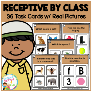 receptive by class task cards special education aba