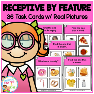 receptive by feature task cards special education aba