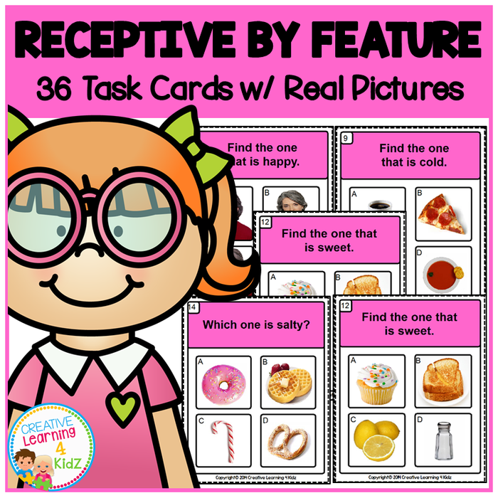 Receptive by Feature Task Cards Special Education ABA