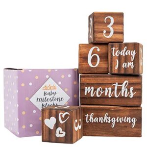 mainevent farmhouse baby monthly milestone blocks, age blocks for baby milestone, baby gifts for baby shower, newborn photography, baby photo props, month milestone blocks