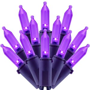 sweet shine purple led christmas lights with purple wire, 66 ft 200 counts ul certified holiday lights set (purple)