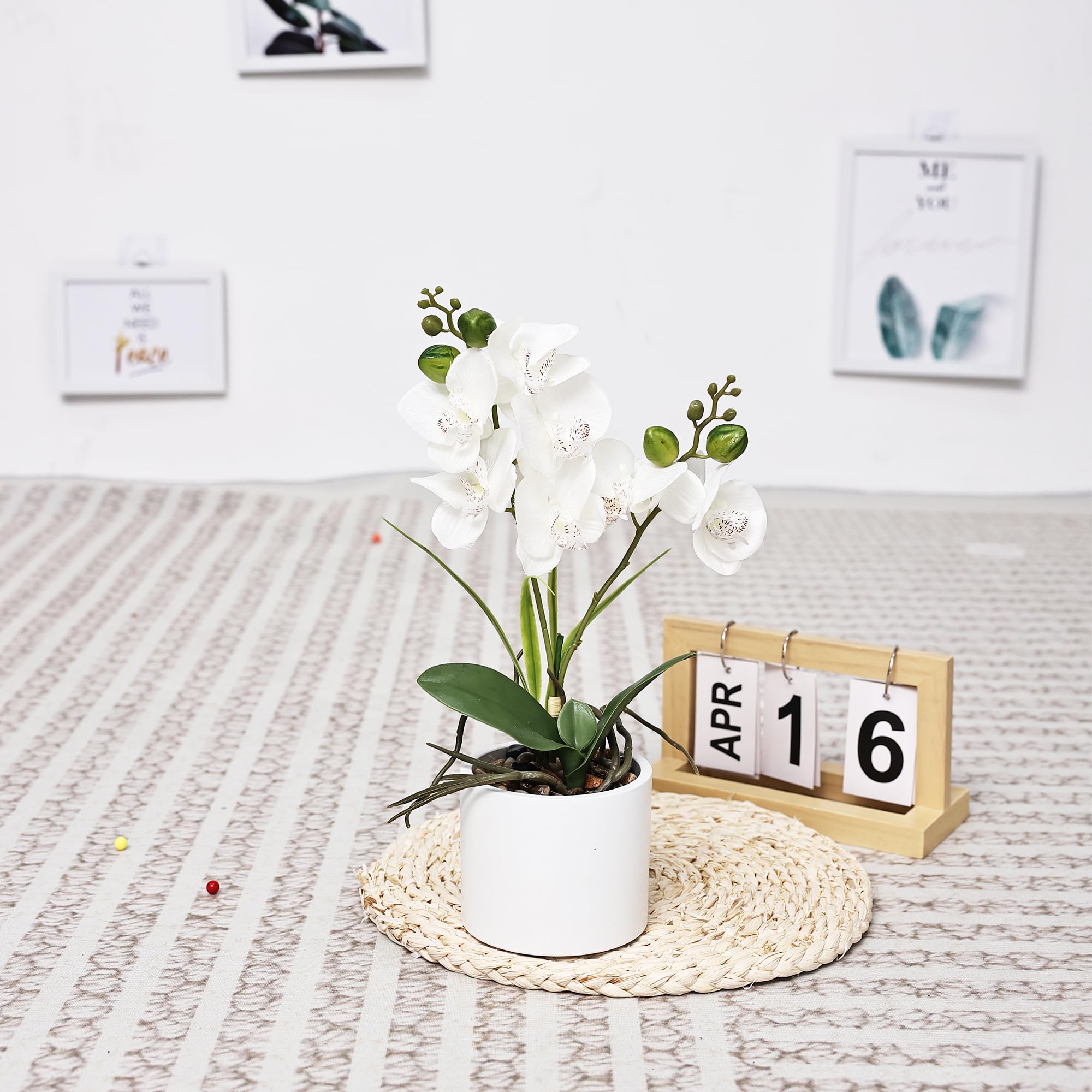 Jusdreen 1 Pcs Ceramic Vase Artificial Orchid Flower Bonsai Vivid Phalaenopsis Flowers Potting for Home Office Décor,Table Centerpiece Room Decorations 14.5 INCH (Ceramic Pot/White Orchid)