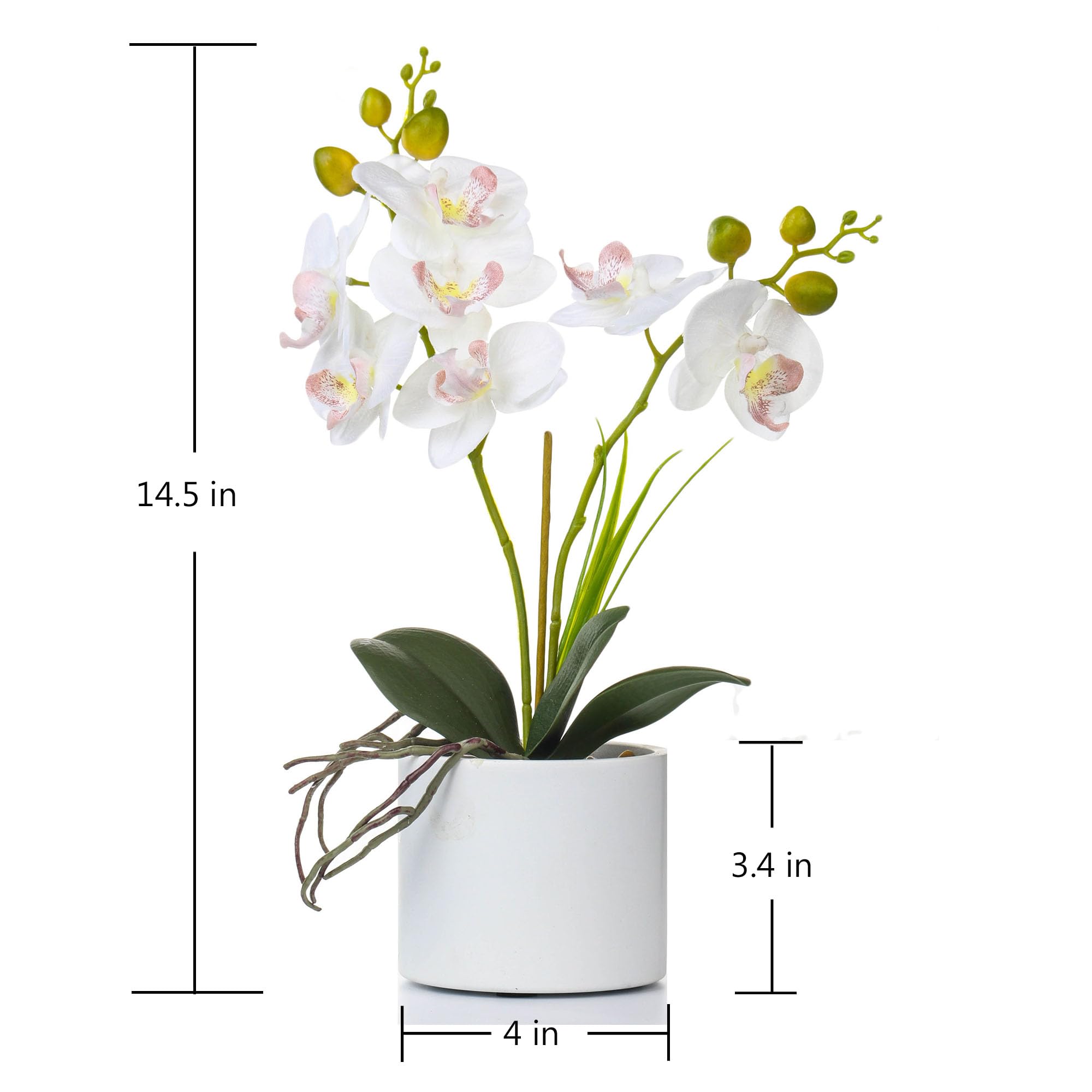 Jusdreen 1 Pcs Ceramic Vase Artificial Orchid Flower Bonsai Vivid Phalaenopsis Flowers Potting for Home Office Décor,Table Centerpiece Room Decorations 14.5 INCH (Ceramic Pot/White Orchid)