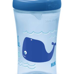 NUK First Essentials Hard Spout Sippy Cup