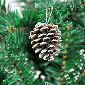 Worldoor Christmas Hanging Ornaments, 72 Pack Natural Pinecone Pendant Set Wood Frosted Pine Cone Ornaments for Xmas Tree Garden Home Decorations