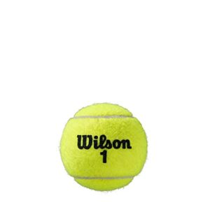 Wilson Unisex-Adult Roland Garros Official Tennis Ball, Yellow, 18 × 4