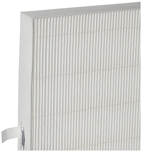 Winix 1712-0093-00 Air Purifier Replacement Filter T, for HR900, White