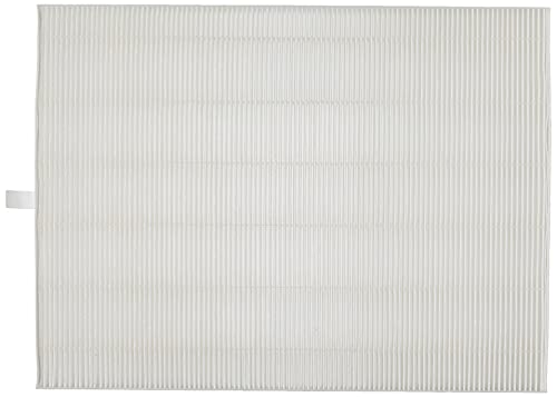 Winix 1712-0093-00 Air Purifier Replacement Filter T, for HR900, White