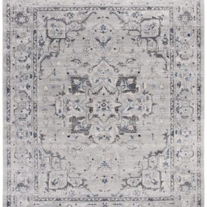 SAFAVIEH Charleston Collection Area Rug - 10' x 14', Grey & Dark Grey, Oriental Distressed Design, Non-Shedding & Easy Care, Ideal for High Traffic Areas in Living Room, Bedroom (CHL411F)