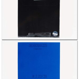 DHS Blue-Sponge Hurricane 3 (National, Limited Edition) Table Tennis Racket Rubber Sheet, (Black, 2.2 mm) (Hardness: 39/40 /41), with Ping Pong Rubber Protection Film (Black/Hardness:39, 2.2 mm)