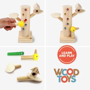 JOJO Fine Motor Skills Toy for Toddlers Montessori Wooden Toys Magnetic Bird Toy Set Woodpecker Catching Bug Game for Boy and Girl Early Preschool Learning Toys Educational Gift 2 3 4 5 Years Old