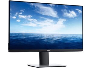 dell 24in usb-c monitor p2419hc