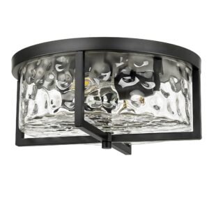 Odeums Indoor Flush Mount Lights, 2-Lights Interior Exterior Ceiling Lights Fixture, Antique Bronze Finish with Clear Hammered Glass