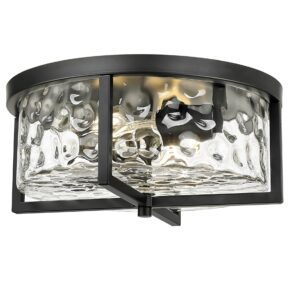 Odeums Indoor Flush Mount Lights, 2-Lights Interior Exterior Ceiling Lights Fixture, Antique Bronze Finish with Clear Hammered Glass