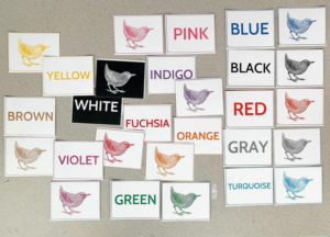 color and picture matching cards