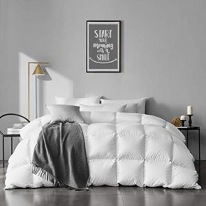 apsmile king size goose feather down comforter - ultra soft all seasons 100% organic cotton feather down duvet insert medium warm quilted bed comforter with corner tabs (106x90,ivory white)