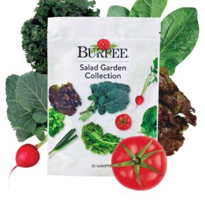 Burpee Salad Garden Collection 10 Packets of Non-GMO 4 Lettuce Varieties Tomato, Radish, Spinach, Kale, Scallions & Mesclun Mix | Seeds for Planting Vegetables