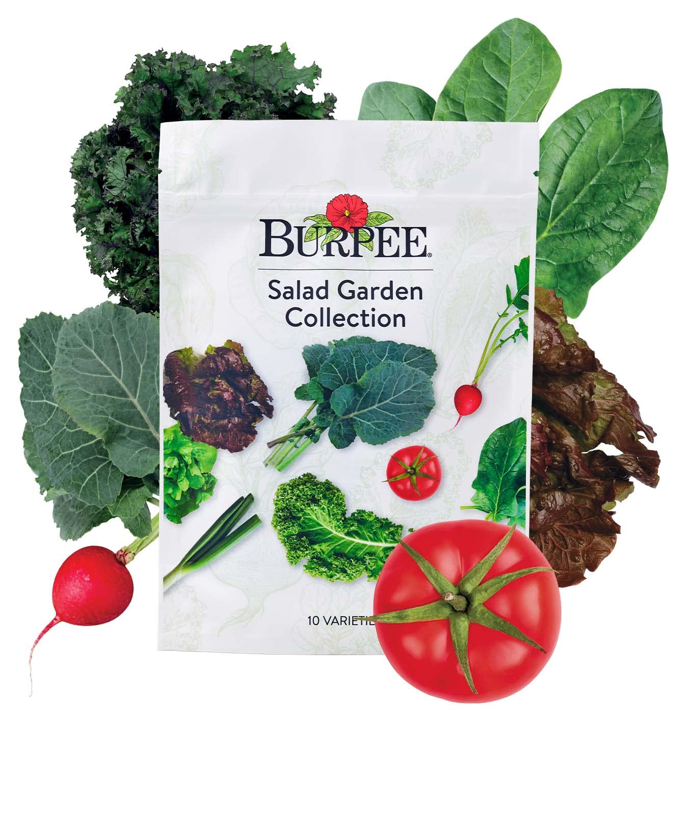 Burpee Salad Garden Collection 10 Packets of Non-GMO 4 Lettuce Varieties Tomato, Radish, Spinach, Kale, Scallions & Mesclun Mix | Seeds for Planting Vegetables