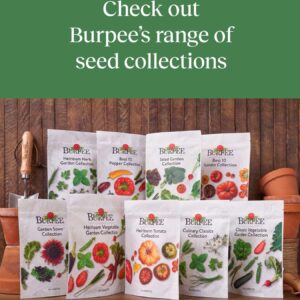 Burpee Salad Garden Collection 10 Packets of Non-GMO 4 Lettuce Varieties Tomato, Radish, Spinach, Kale, Scallions & Mesclun Mix | Seeds for Planting Vegetables