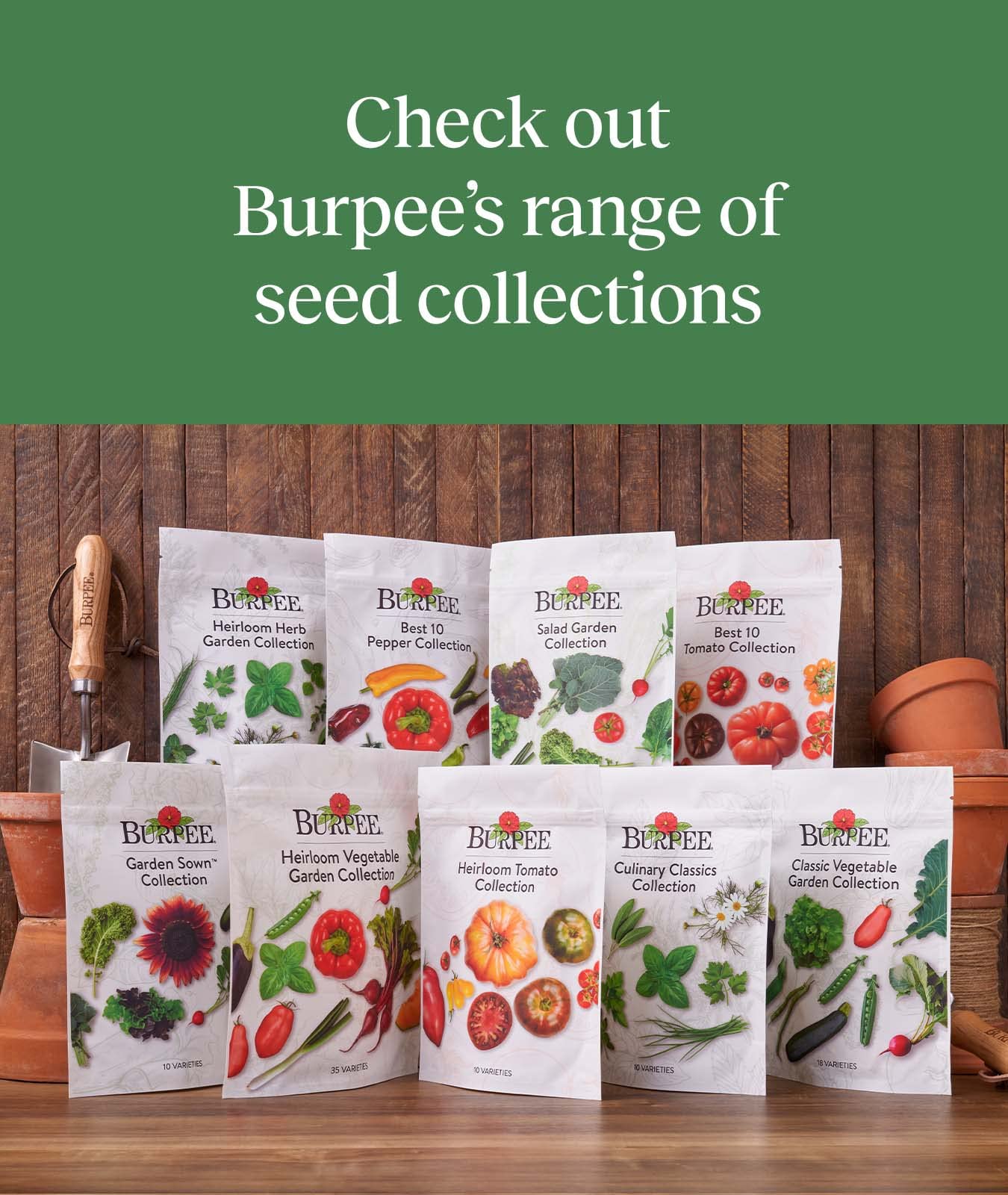 Burpee Salad Garden Collection 10 Packets of Non-GMO 4 Lettuce Varieties Tomato, Radish, Spinach, Kale, Scallions & Mesclun Mix | Seeds for Planting Vegetables