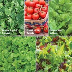 Burpee Salad Garden Collection 10 Packets of Non-GMO 4 Lettuce Varieties Tomato, Radish, Spinach, Kale, Scallions & Mesclun Mix | Seeds for Planting Vegetables