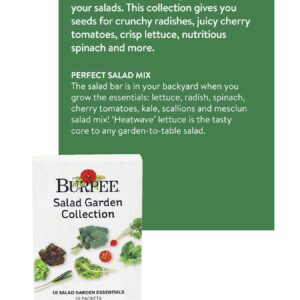 Burpee Salad Garden Collection 10 Packets of Non-GMO 4 Lettuce Varieties Tomato, Radish, Spinach, Kale, Scallions & Mesclun Mix | Seeds for Planting Vegetables