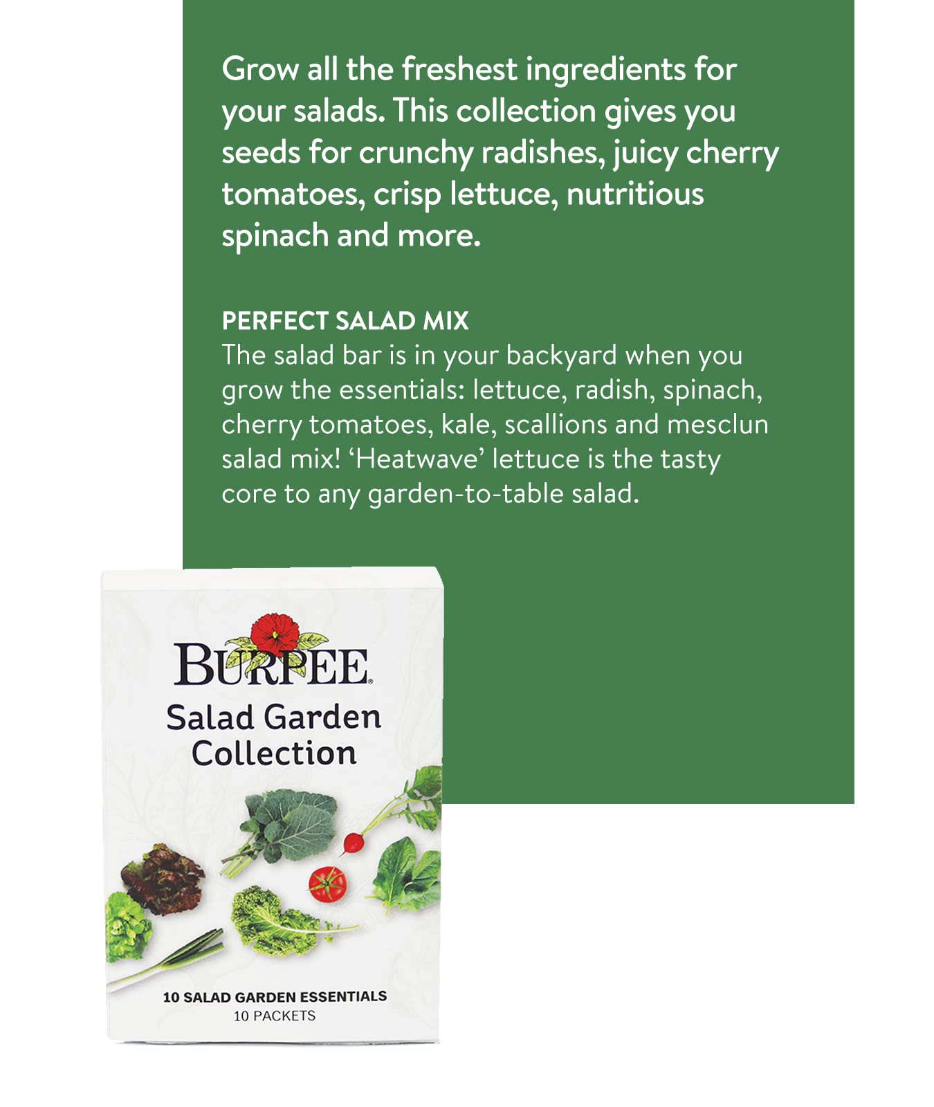 Burpee Salad Garden Collection 10 Packets of Non-GMO 4 Lettuce Varieties Tomato, Radish, Spinach, Kale, Scallions & Mesclun Mix | Seeds for Planting Vegetables