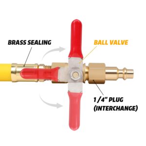 Hromee RV Winterize Sprinkler System Kit with Blowout Adapter for Motorhome Boat Camper and Travel Trailer: Air Compressor Quick-Connect Plug to 3/4" Garden Hose