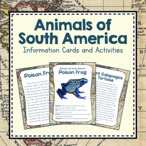 south america unit study: animals of south america information cards