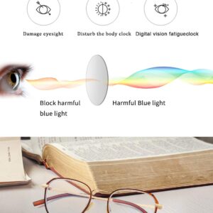 DUCO Blue Light Glasses For Women Computer Glasses Blue Ray Blocking Glasses For Men Womens Fashion Eyeglasses W014