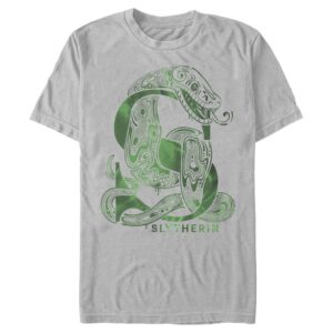 harry potter men's slytherin t-shirt, silver, 3x-large