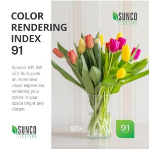 Sunco Lighting 10 Pack 3W=40W A19 LED Light Bulbs CRI91 2700K White, 250 Lumens, E26 Medium Base, Indoor/Outdoor, Super Bright, Instant On, Frosted Lens, Lamp for Bedroom Dining Living Room UL