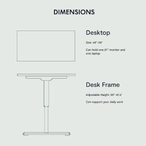 FLEXISPOT Electric Height Adjustable Desk with Desktop, 48 x 30 Inches, Standing Desk Stand Up Desk Workstation (Silver Frame + 48 in Black Top)