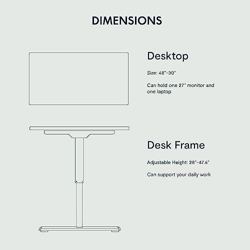 FLEXISPOT Electric Height Adjustable Desk with Desktop, 48 x 30 Inches, Standing Desk Stand Up Desk Workstation (Silver Frame + 48 in Black Top)