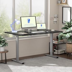 FLEXISPOT Electric Height Adjustable Desk with Desktop, 48 x 30 Inches, Standing Desk Stand Up Desk Workstation (Silver Frame + 48 in Black Top)