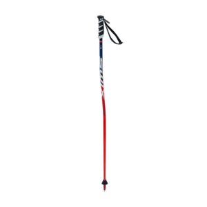 Swix Junior WC Pro Super G Lightweight Durable Alpine Skiing Poles with Downhill Basket, 110