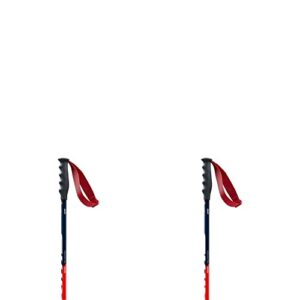 Swix Winter Sports Recreation Competition Alpine Skiing Racing Freeriding WC Pro Super-G Aluminum Poles, 125cm