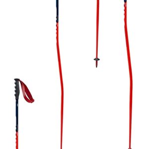 Swix Winter Sports Recreation Competition Alpine Skiing Racing Freeriding WC Pro Super-G Aluminum Poles, 125cm