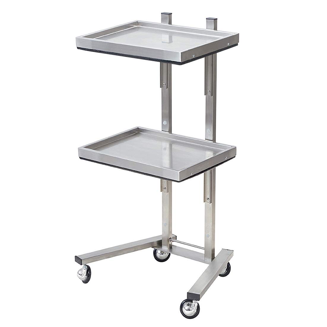 Kaleurrier Rolling Tool Trolley Cart with Double Storage Tray,Stainless Steel Utility Instrument Tray Stand with Wheels for Beauty Hair Salon Tattoo Spa Clinic Medical Studio Home (Color:Silver)