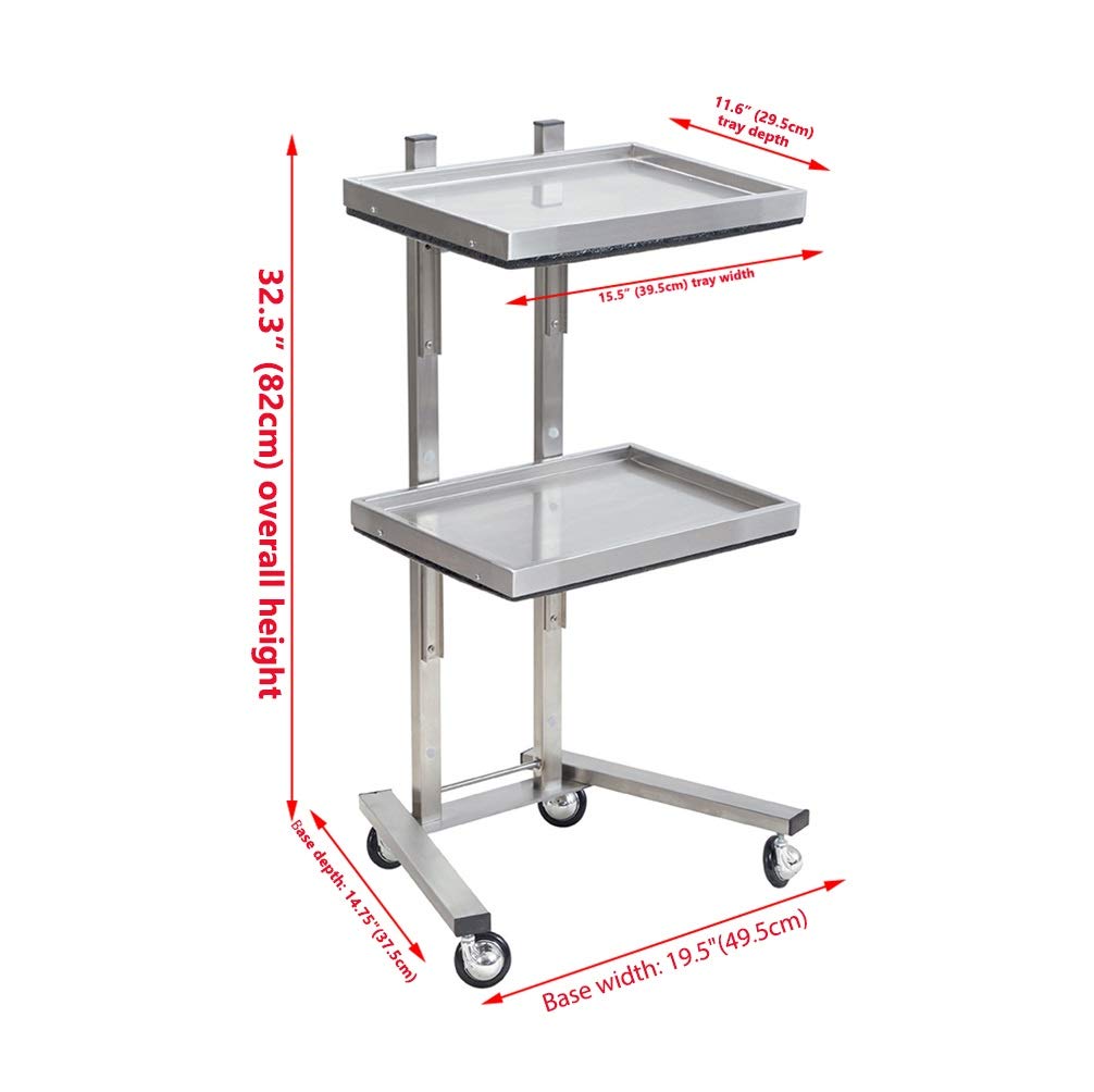 Kaleurrier Rolling Tool Trolley Cart with Double Storage Tray,Stainless Steel Utility Instrument Tray Stand with Wheels for Beauty Hair Salon Tattoo Spa Clinic Medical Studio Home (Color:Silver)