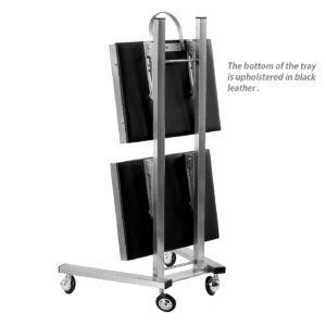 Kaleurrier Rolling Tool Trolley Cart with Double Storage Tray,Stainless Steel Utility Instrument Tray Stand with Wheels for Beauty Hair Salon Tattoo Spa Clinic Medical Studio Home (Color:Silver)