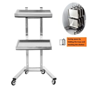 Kaleurrier Rolling Tool Trolley Cart with Double Storage Tray,Stainless Steel Utility Instrument Tray Stand with Wheels for Beauty Hair Salon Tattoo Spa Clinic Medical Studio Home (Color:Silver)