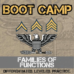 families of functions boot camp -- differentiated practice assignments