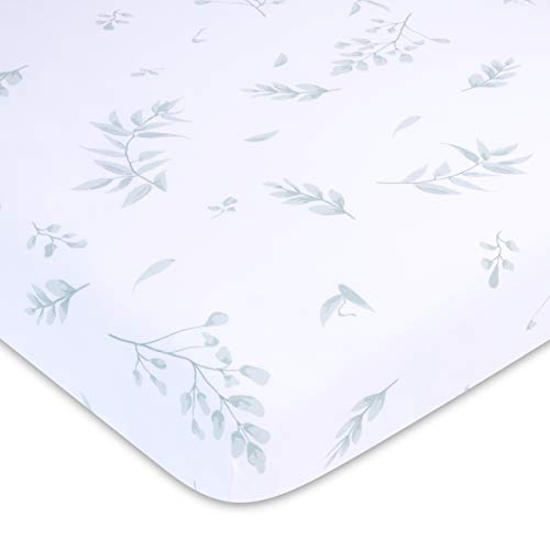 Adrienne Vittadini Bambini Jersey Cotton Pack N Play Sheet 1 Pack Green Fern Print, Sage