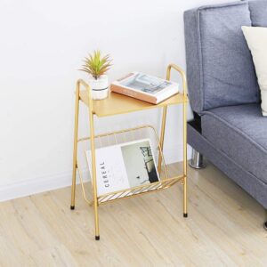 LITA Gold Modern Rectangular Metal Side Table,Two-Story End-Table with Magazine Storage for Bedroom,Living Room,Bedside Table