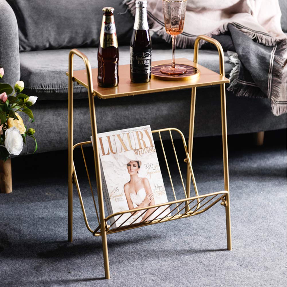 LITA Gold Modern Rectangular Metal Side Table,Two-Story End-Table with Magazine Storage for Bedroom,Living Room,Bedside Table