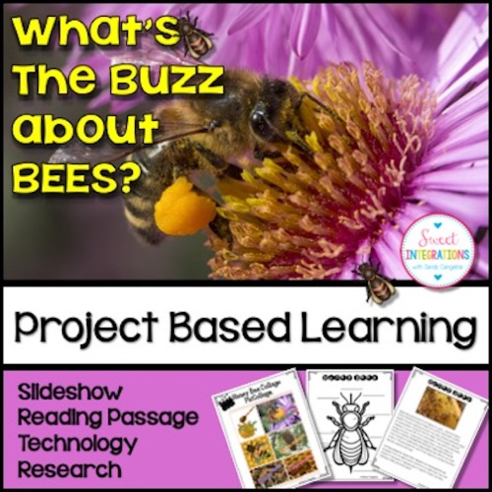 PROJECT BASED LEARNING SCIENCE | SAVE THE BEES | Honey Bee Slideshow and STEM