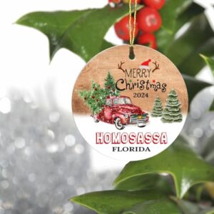 christmas tree ornaments 2024 - homosassa florida ornament hometown custom city state - keepsake gift ideas homosassa fl ornament 3" for friend and housewarming